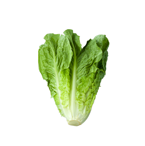 Verdulería Apio Verde